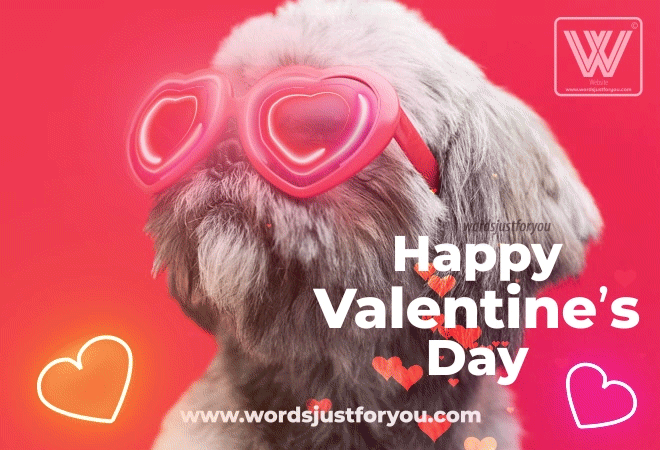 Happy Valentines Day 2025 Gif » WordsJustforYou.com - Original Creative ...